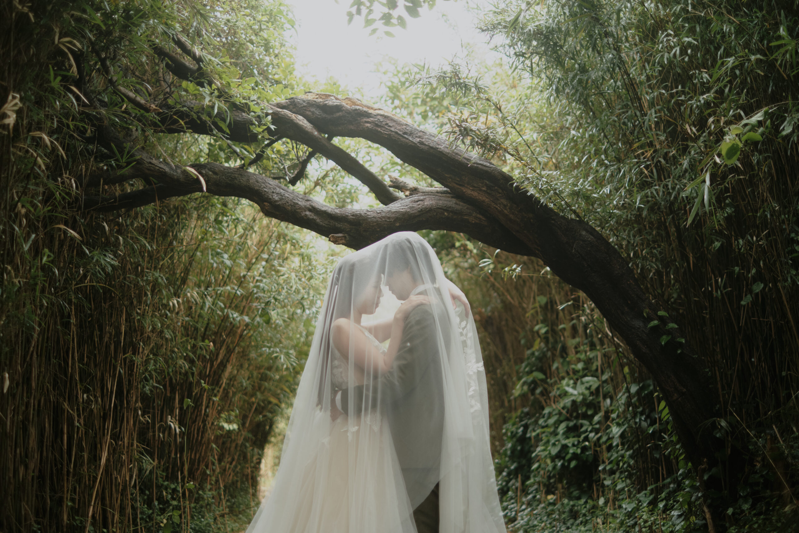 CONTACT | 大田区にあるフォトスタオ Annie Studio